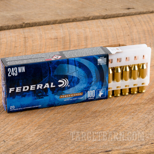 Federal 243 Win 100 Grain SP - 200 Rounds