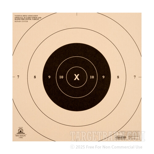 Champion Precision NRA Bullseye Competition B-8C 25 Yard Timed & Rapid ...