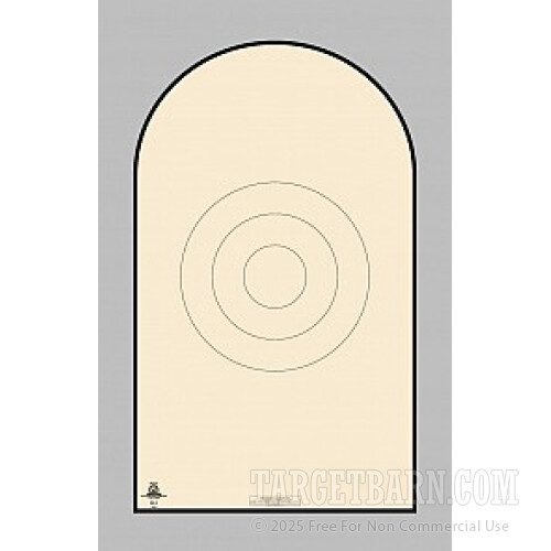NRA D-1-T Targets for Sale - GSSF & ICORE