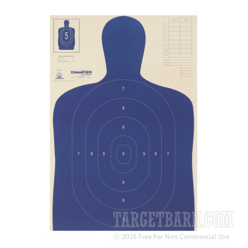 B-27E Silhouette Targets for Sale - Target Barn